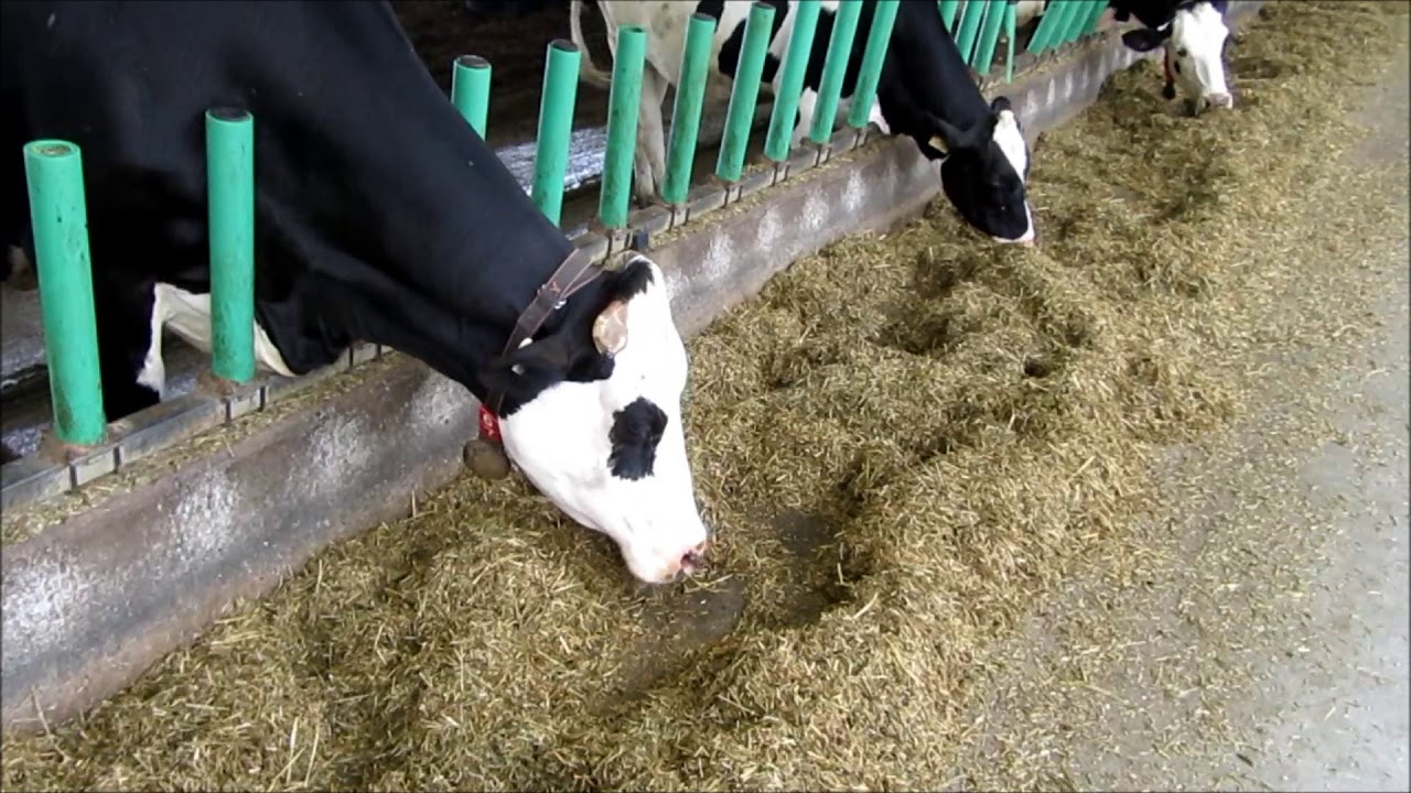 Tuesday , November 28 th , 2017