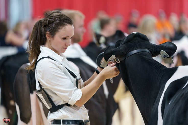 Showmanship is won at home