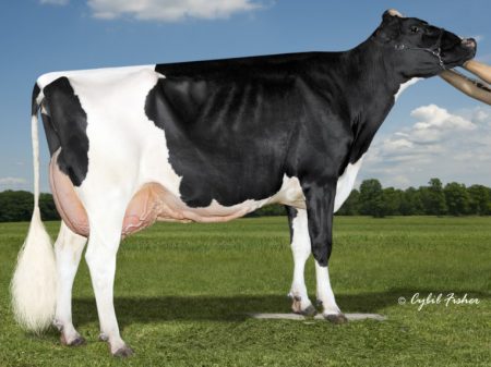 Quinta-feira , Agosto 30 th , 2018