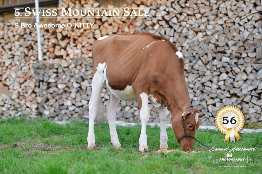 Thursday , November 8 th , 2018