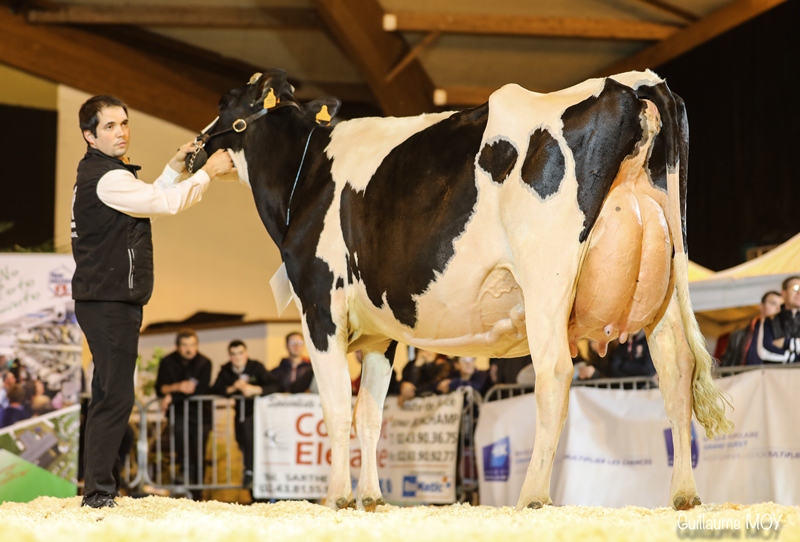 Thursday , November 22 nd , 2018