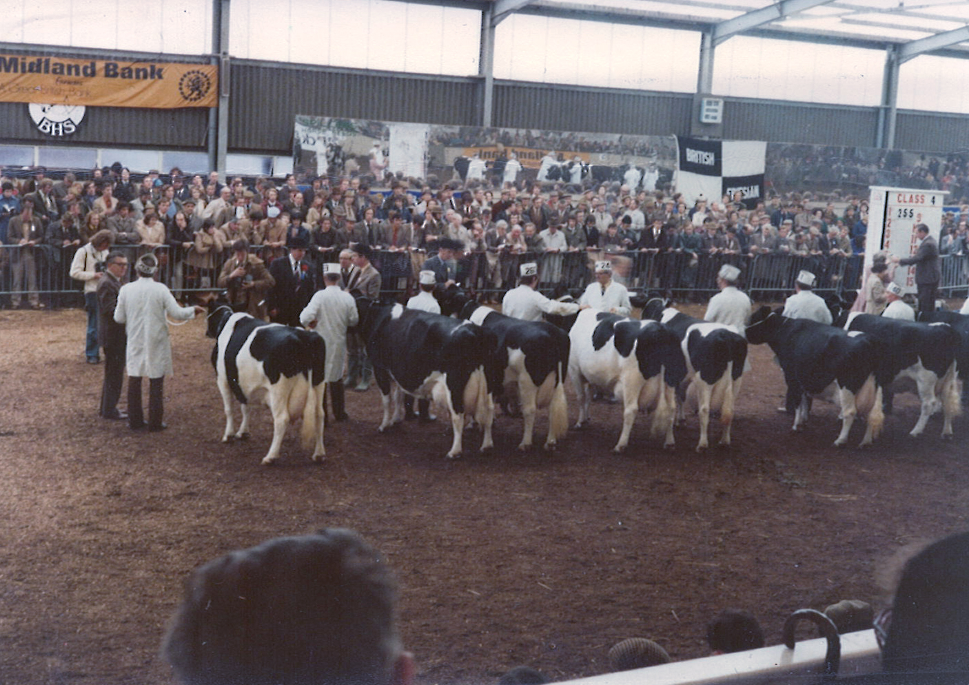 Other breeds have also experienced significant changes in the ideal ...