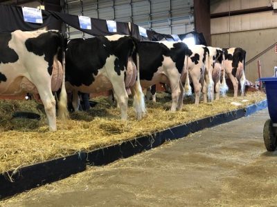 Wednesday , March 27 th , 2019