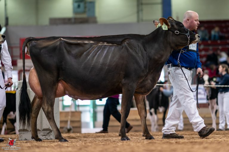 JUNIOR THREE YEAR OLD