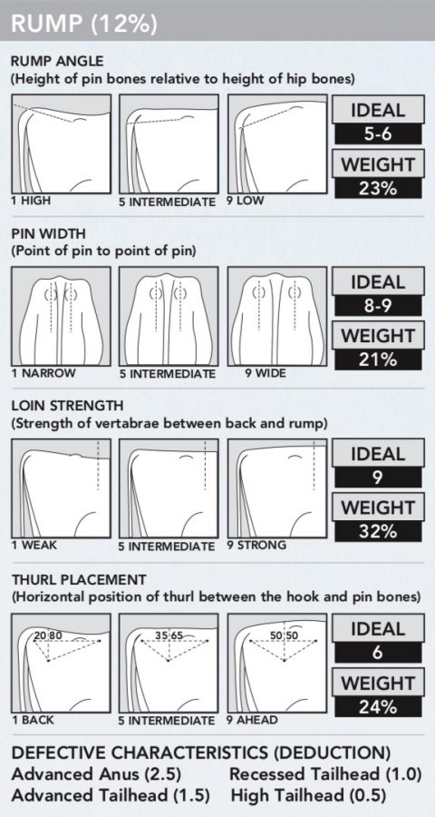 Source: Holstein Canada