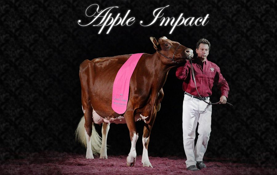 Mike Deaver and Apple captured by Nina Linton in this iconic WDE image ...