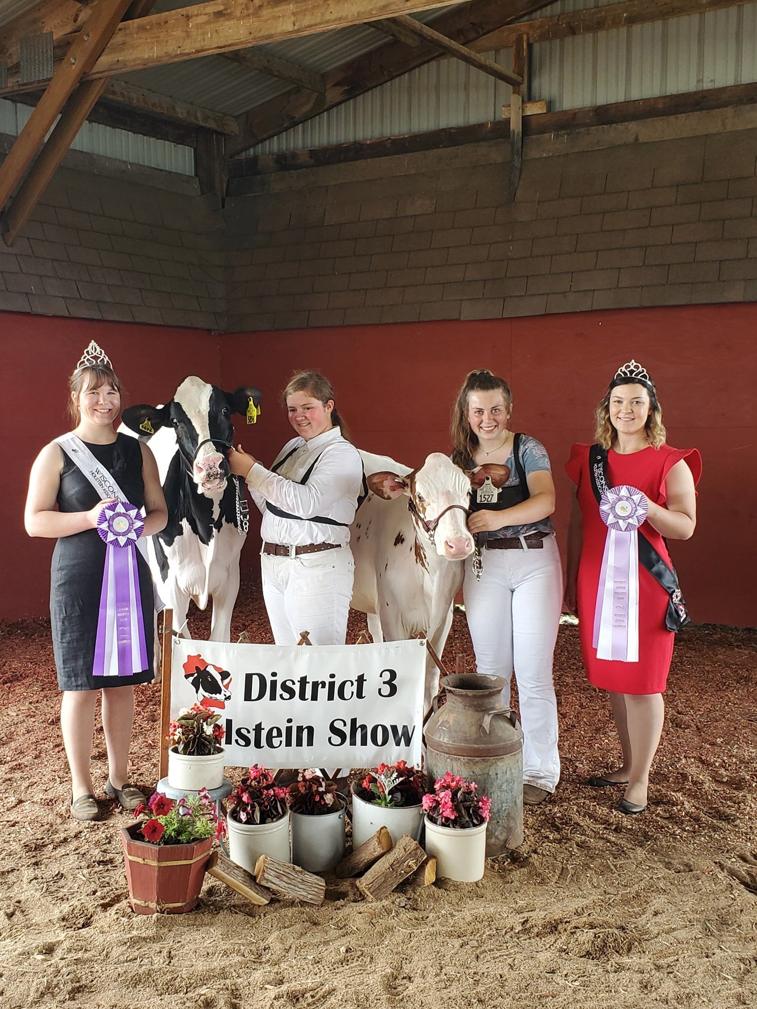 HM Junior Champion: Hi-Lo-Valley Tatoo Constanc (Tatoo), 1st Winter ...