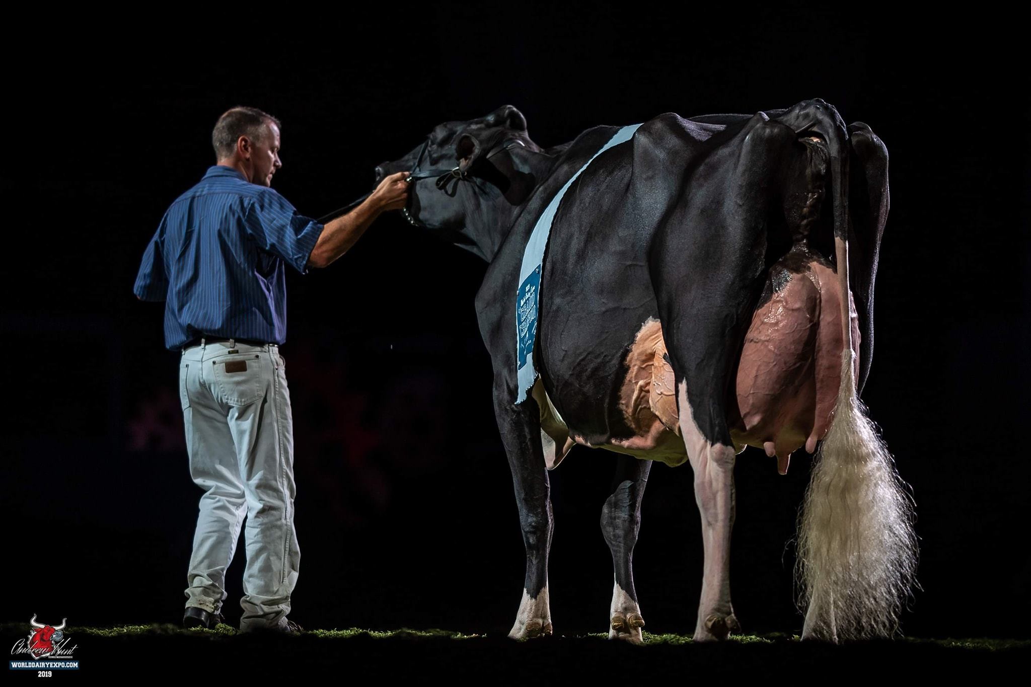 “I don’t think anyone would feel that he didn’t give their cows time ...