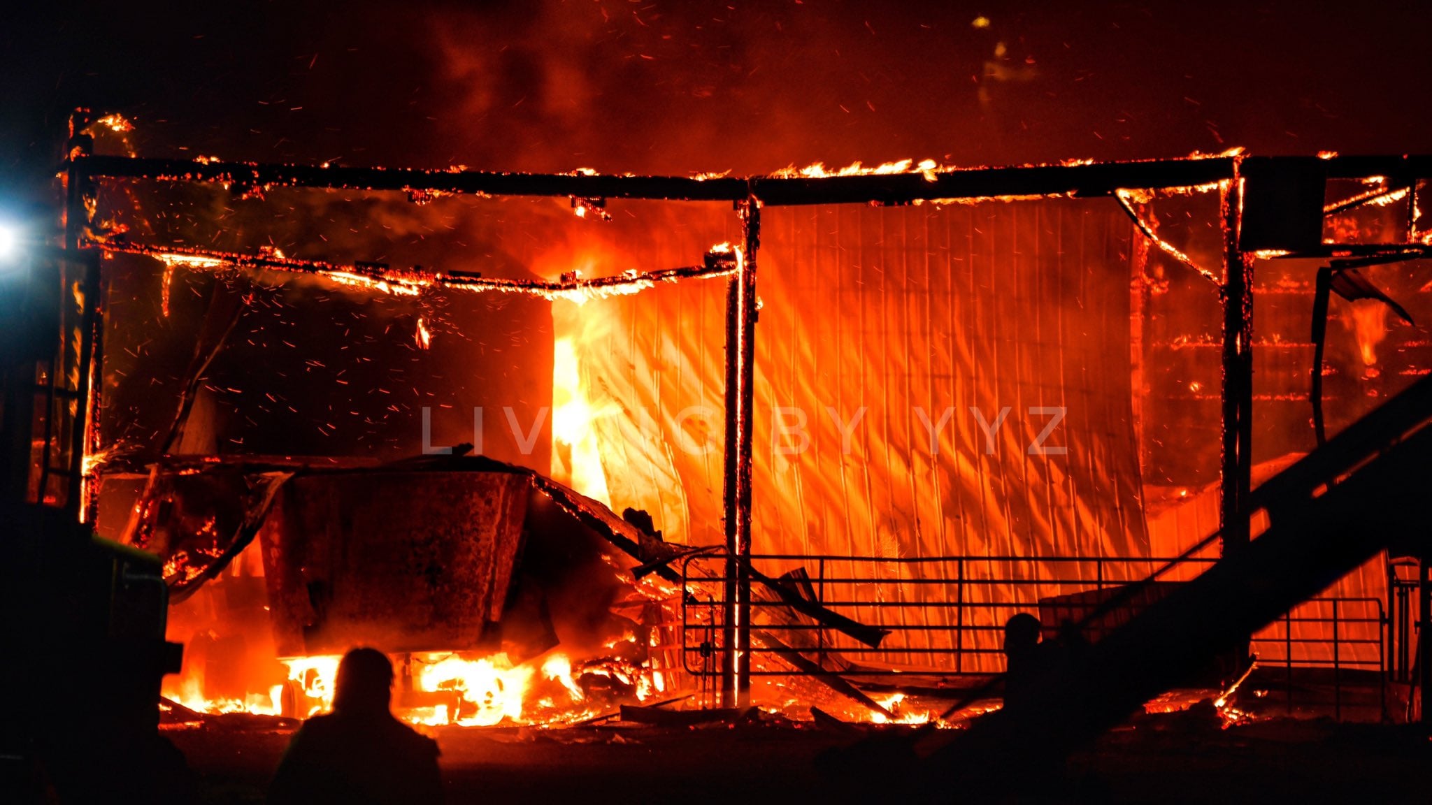 About 30 cows perished in a large barn fire at a Thorold dairy farm ...