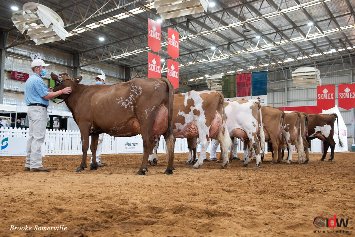 Sponsored by Lely