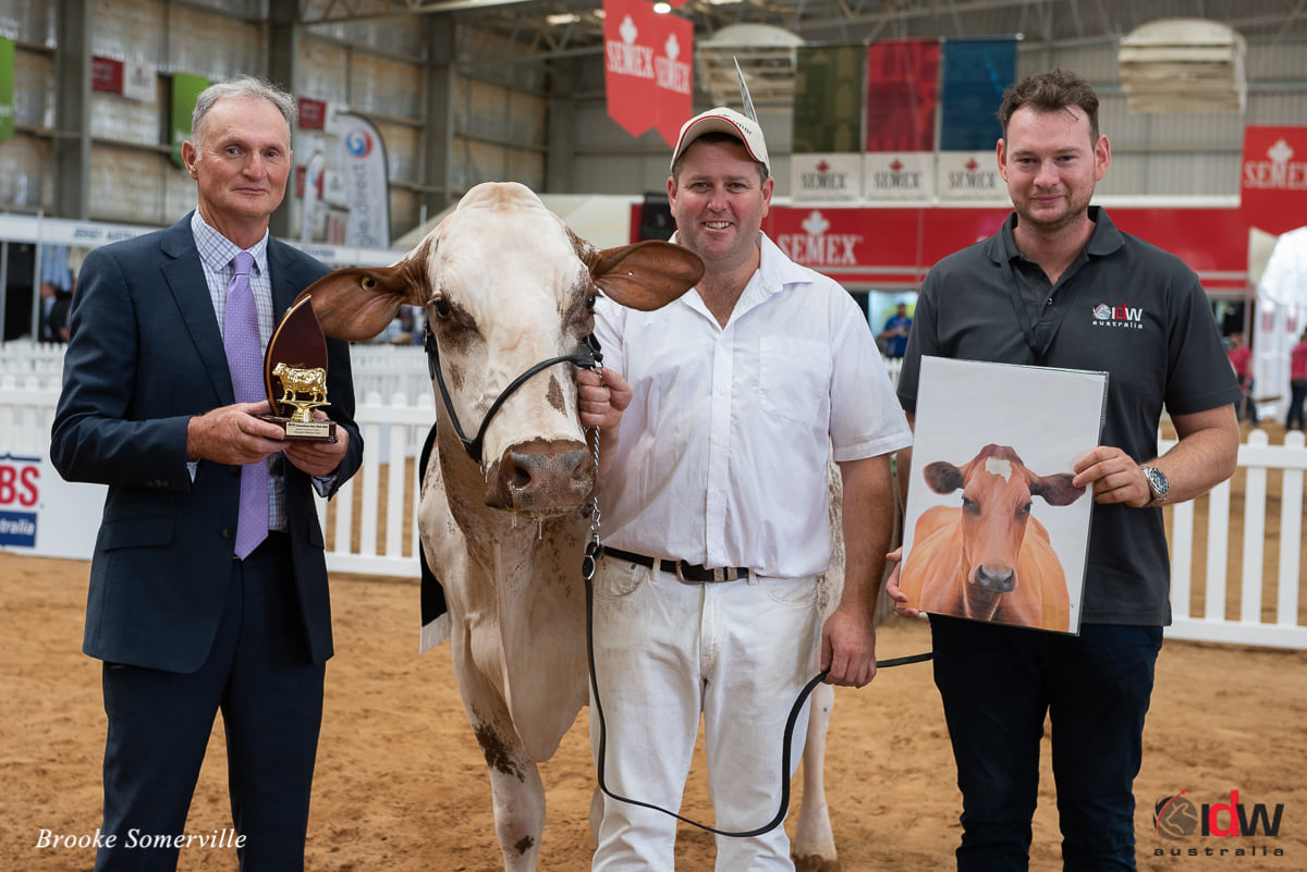 [fbvideo link=”https://fb.watch/aCBZq6ilKZ/” width=”900″ height=”600 ...