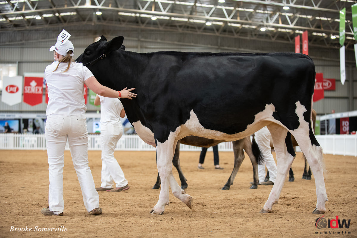 Class 11 – Heifer born 1/04/2020 to 30/06/2020 Senior Leader. Sponsored ...