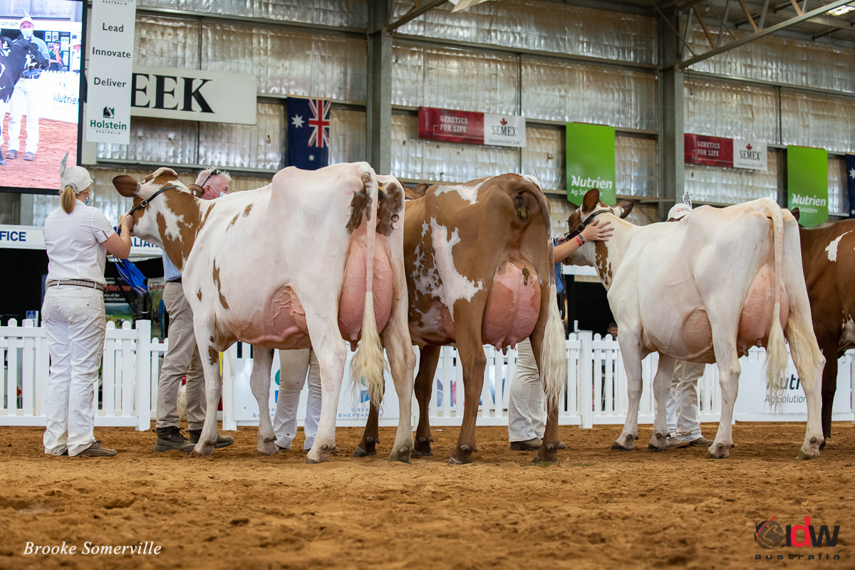 Sponsored by Apiam Pro Dairy