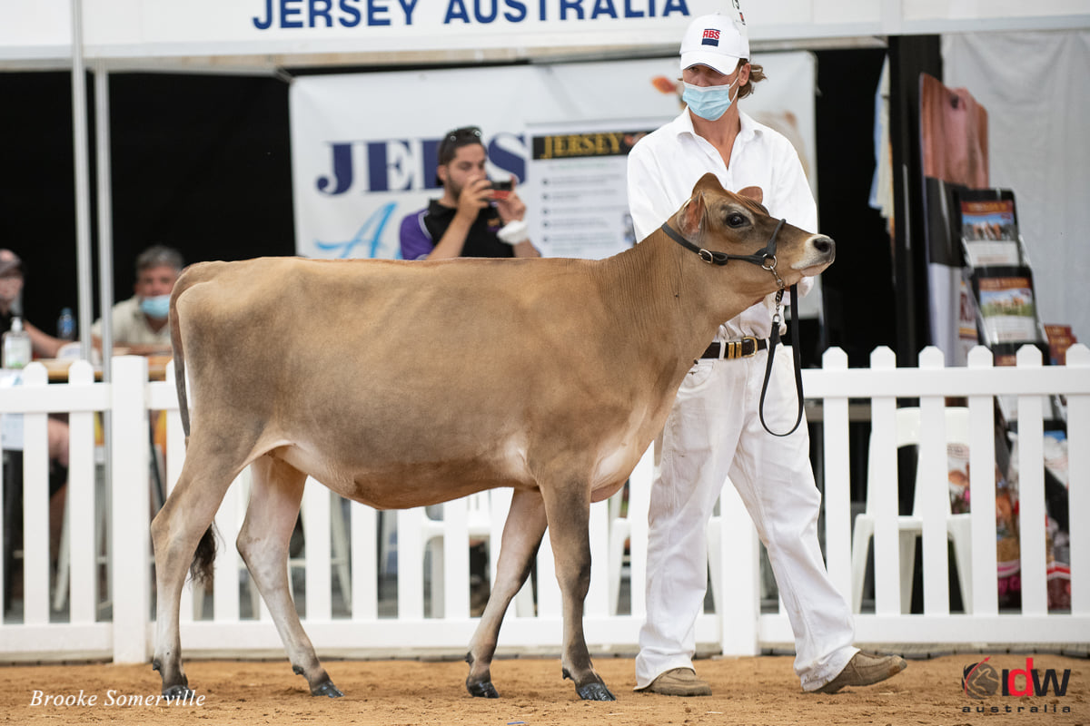 Class 7 – Heifer born 1/10/2020 to 31/12/2020 Senior Leader. Sponsored ...