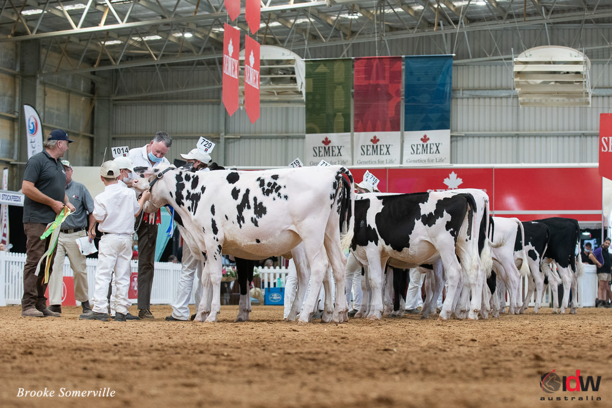 Sponsored by Holstein Australia