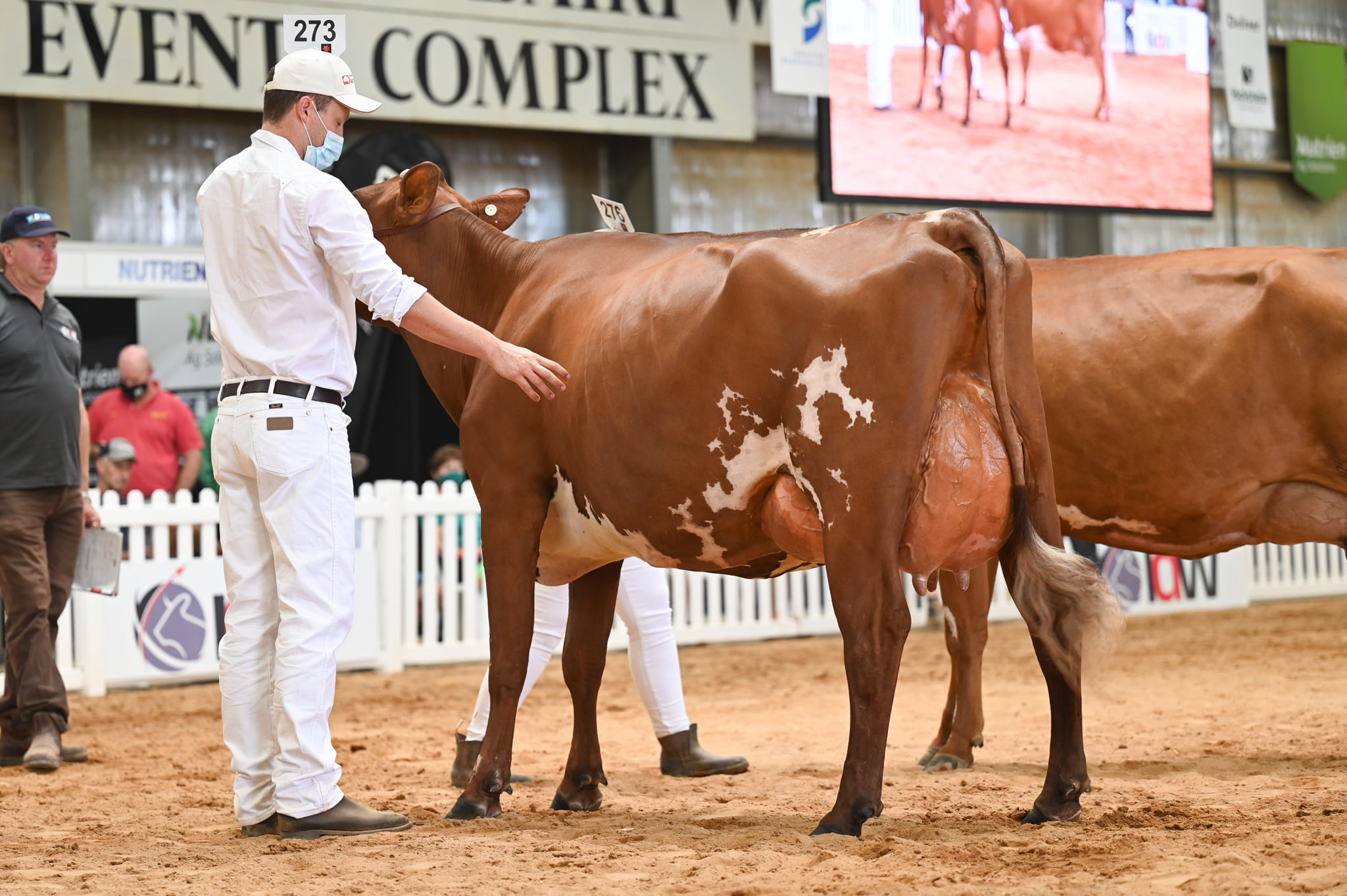Sponsored by Dairy News Australia