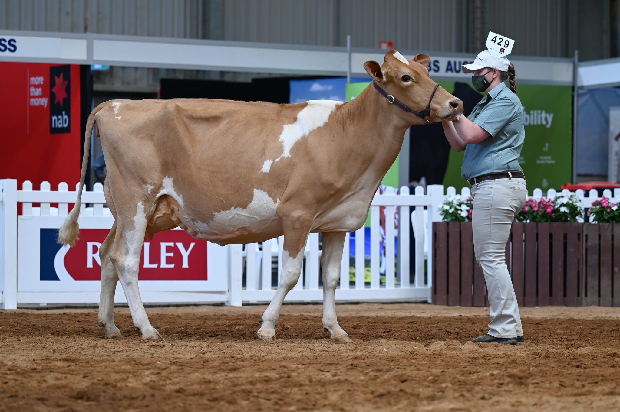 Sponsored by Holstein Australia