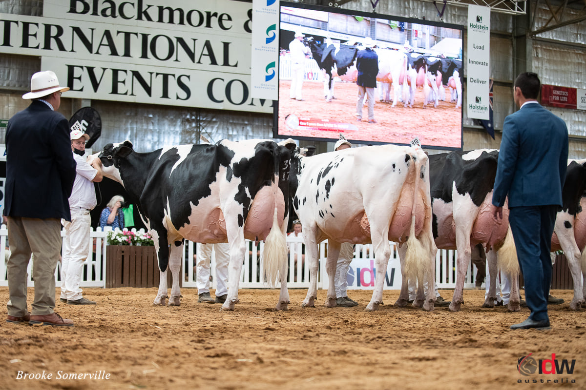 Class 16 Five Years in milk born 1/7/16 to 30/6/17 Sponsored by Agrigene
