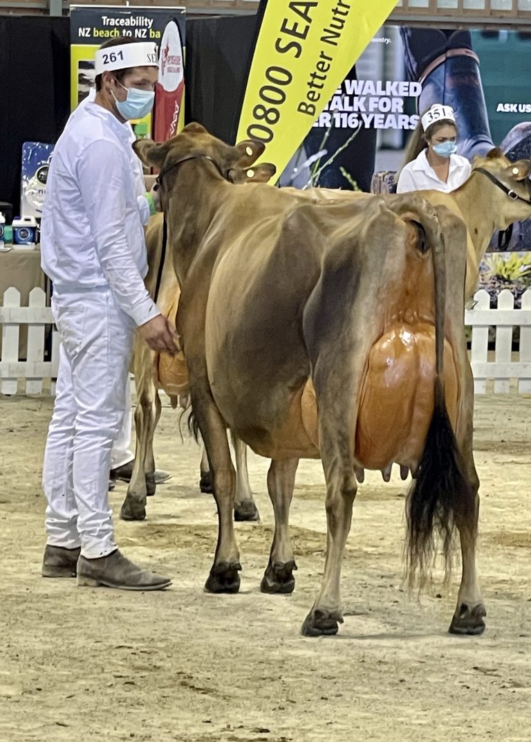 Breeder Profiles :: The Bullvine - The Dairy Information You Want To ...