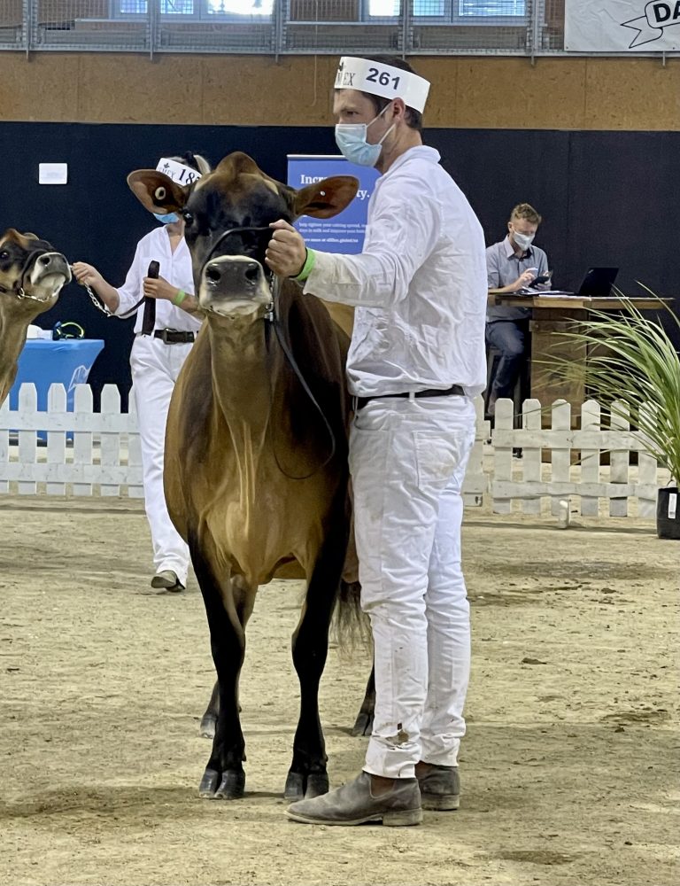 Breeder Profiles :: The Bullvine - The Dairy Information You Want To ...