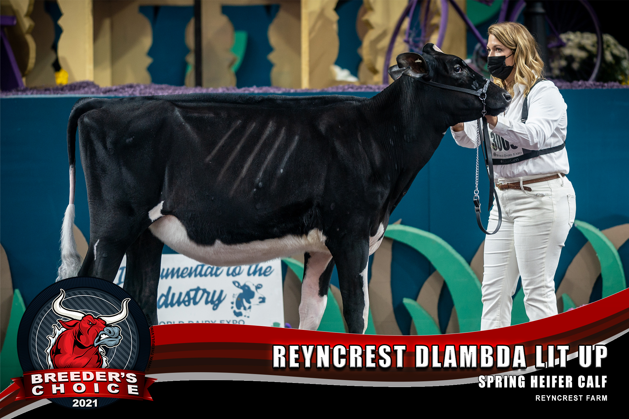 Breeder's Choice Awards | The Bullvine