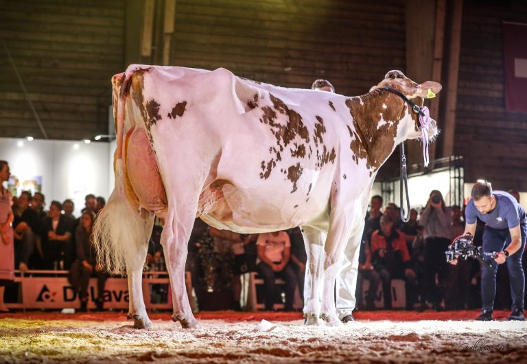 HANNA-VRAY EX-95-CH EX-97-MS
