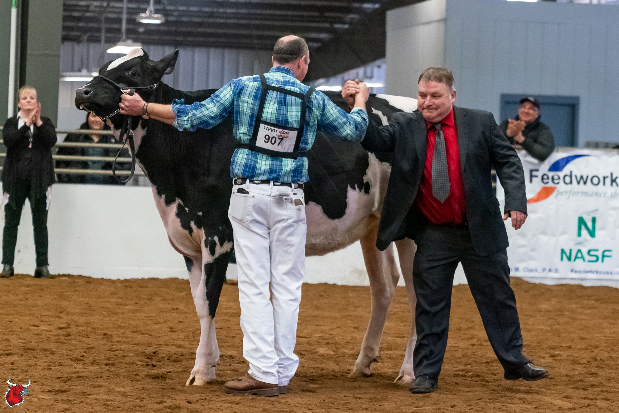 HM INTERMEDIATE CHAMPION: MCGARR-FARMS UNIX ZANY (UNIX), 1ST JUNIOR 2 ...