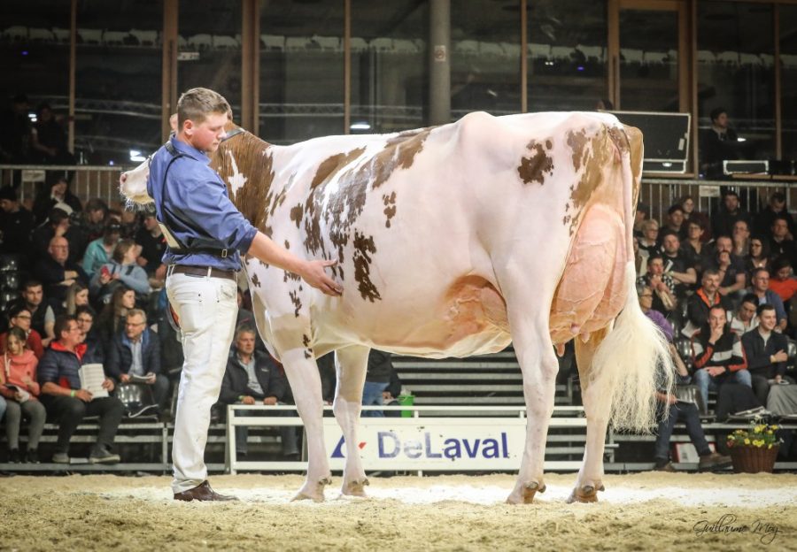 Wednesday , May 11 th , 2022