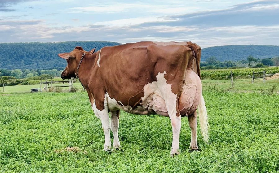 Wednesday , August 31 st , 2022