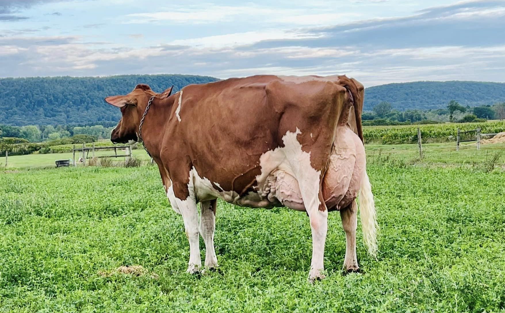 Wednesday , August 31 st , 2022