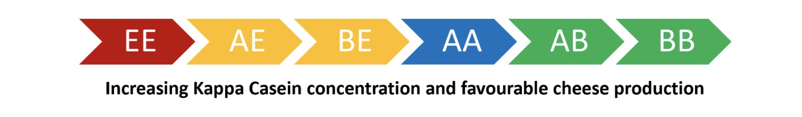 Kappa Casein Genotypes