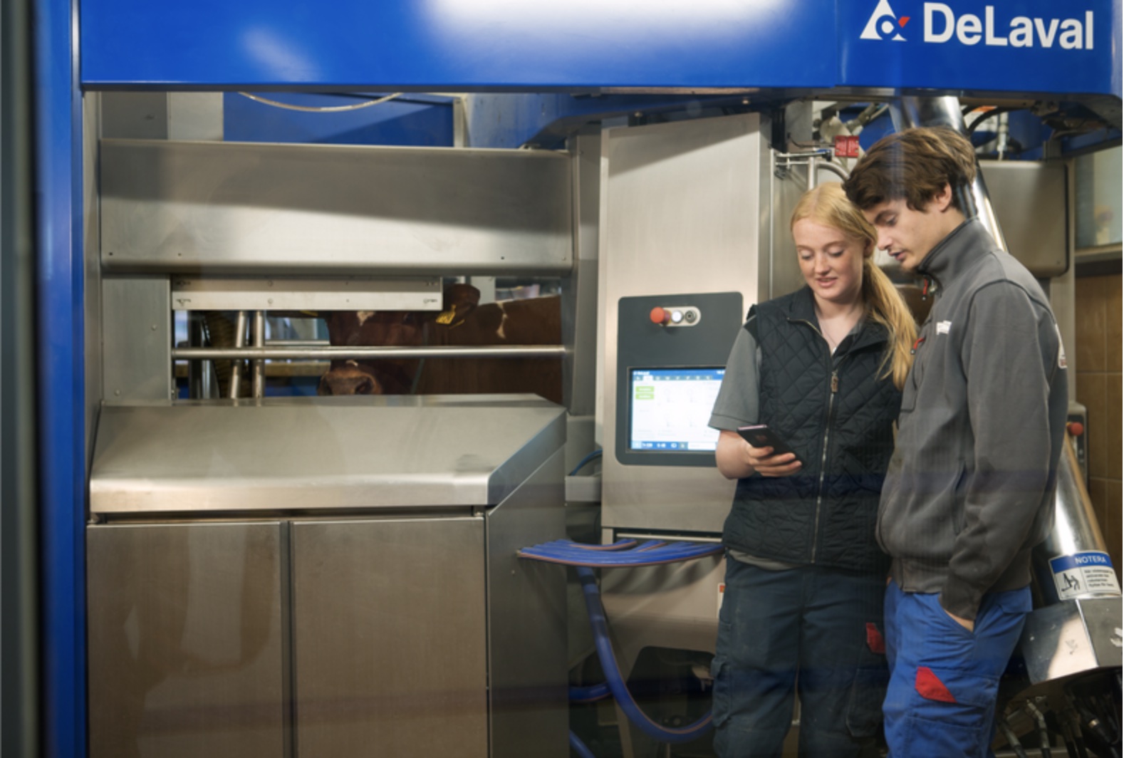 Management :: The Bullvine - The Dairy Information You Want To Know ...