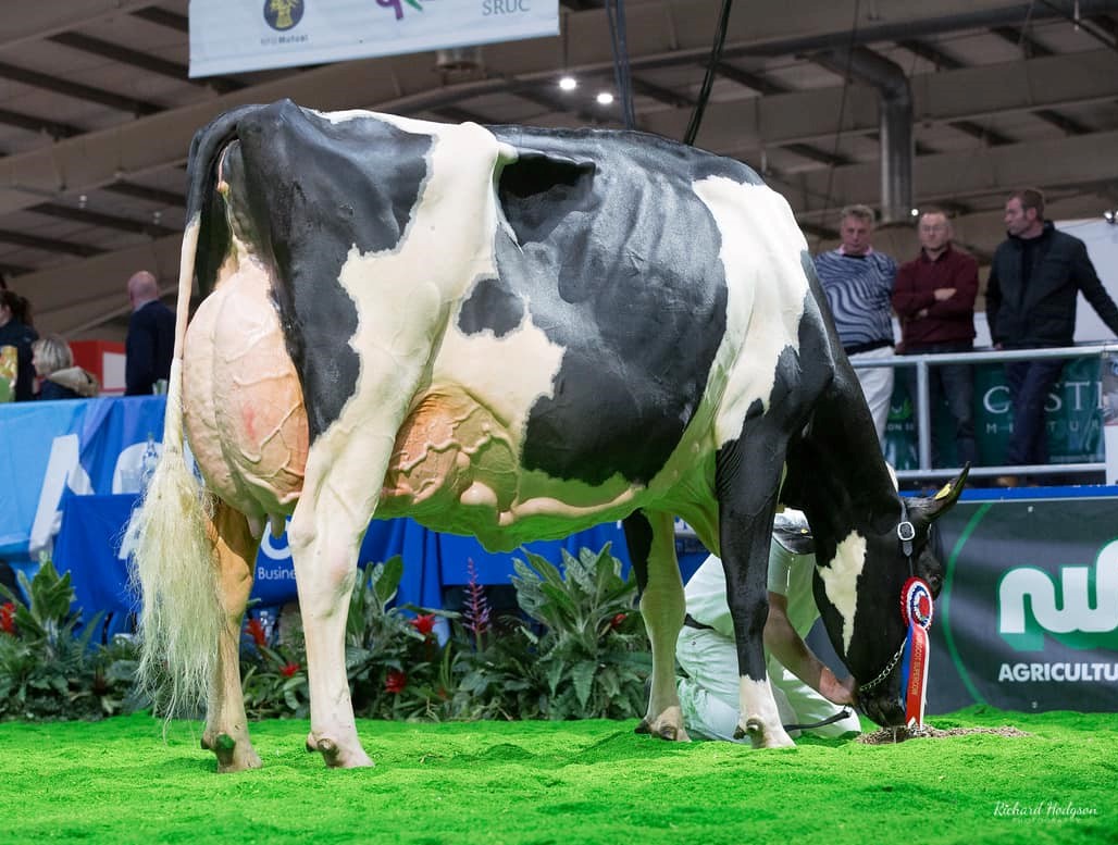 Monday , November 21 st , 2022