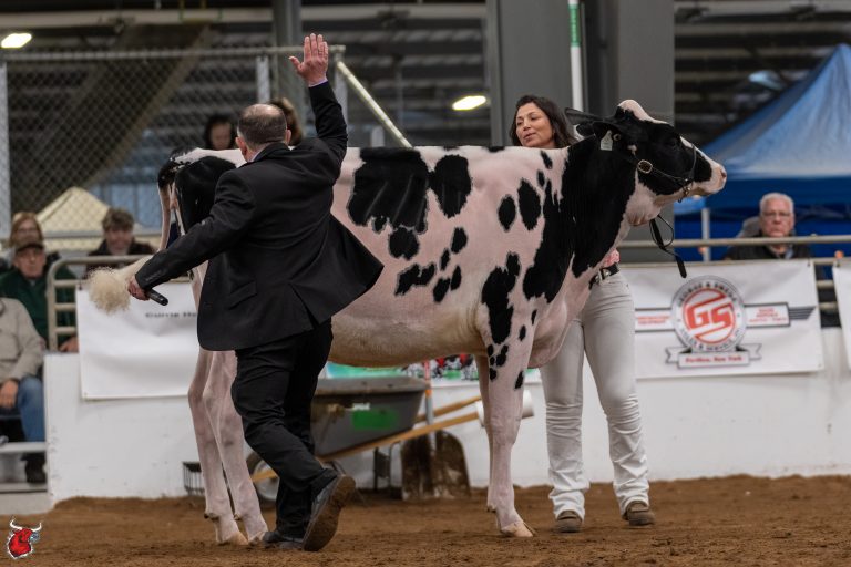 BLONDIN CHIEF JENNY (CHIEF)