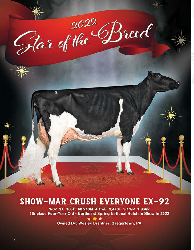 The 2022 Star of the Breed is Show-Mar Crush Everyone, owned by Wesley ...