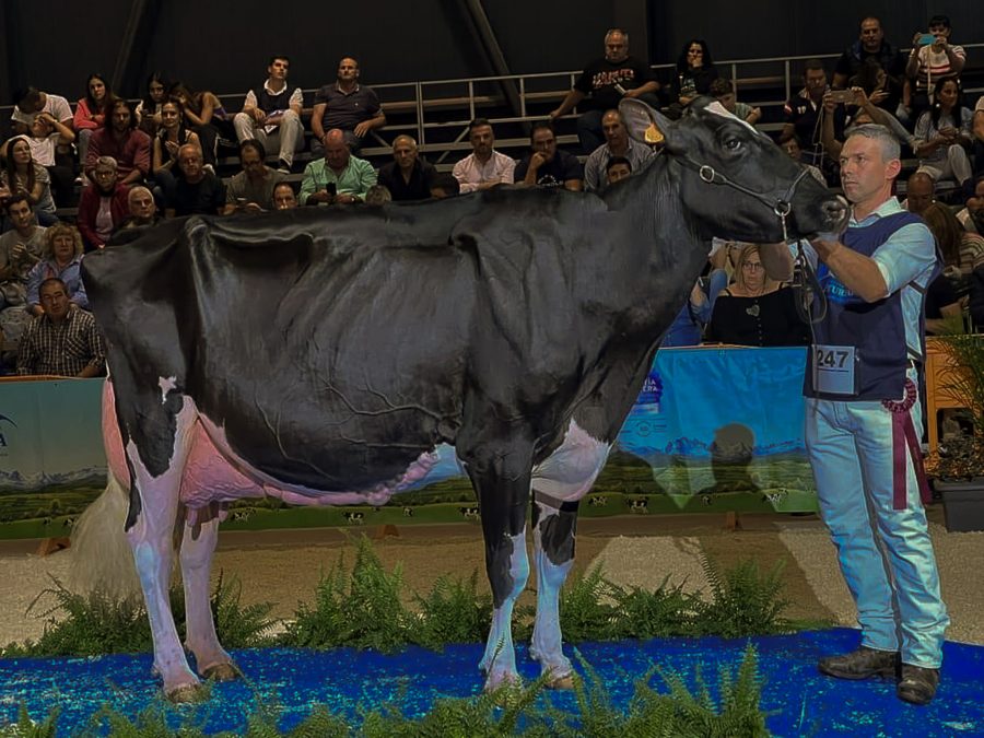 Tuesday , September 26 th , 2023