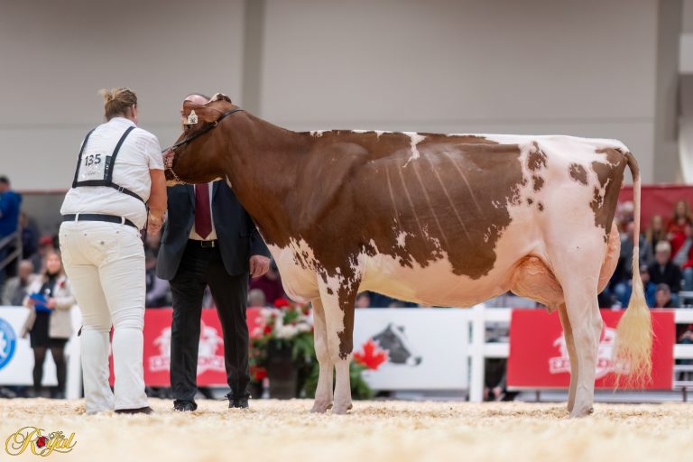 MS T-TRIPLE-T TL FAME-RED