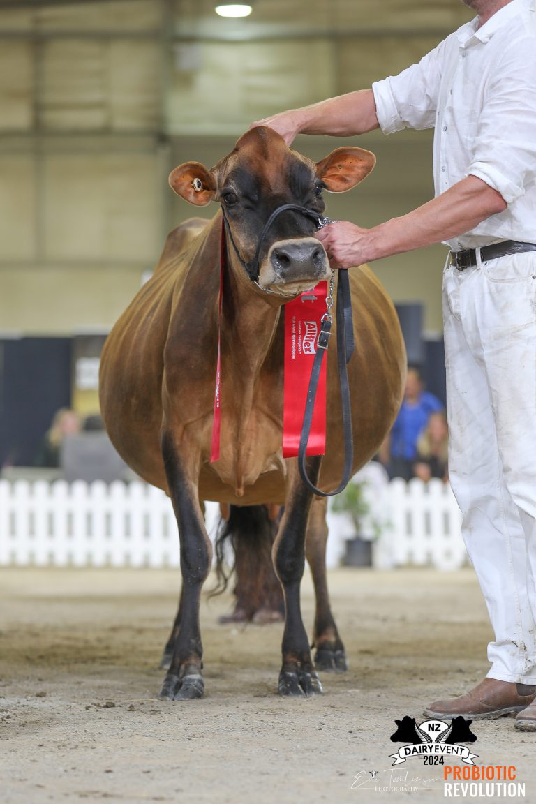 JERSEY SHOW HAD THE GOODS