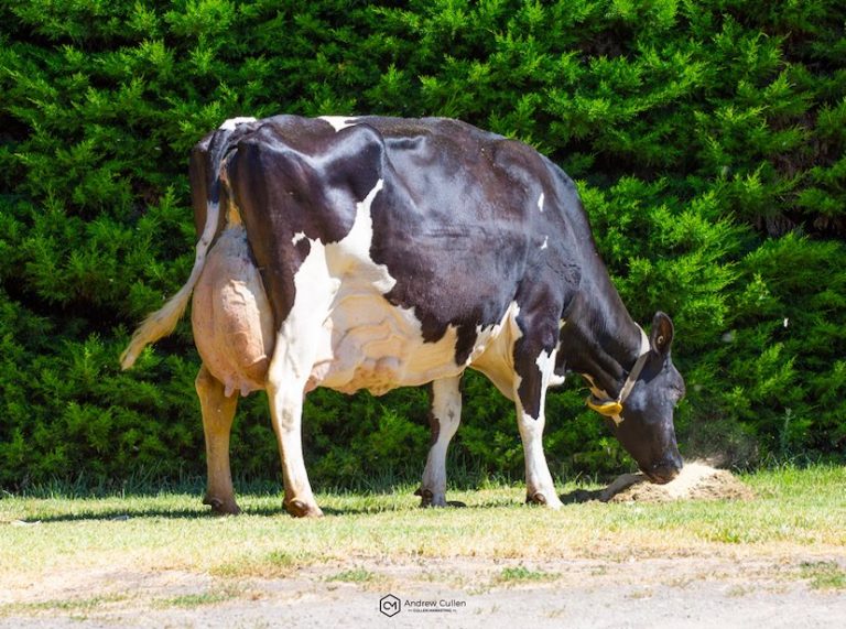 Wednesday , March 6 th , 2024