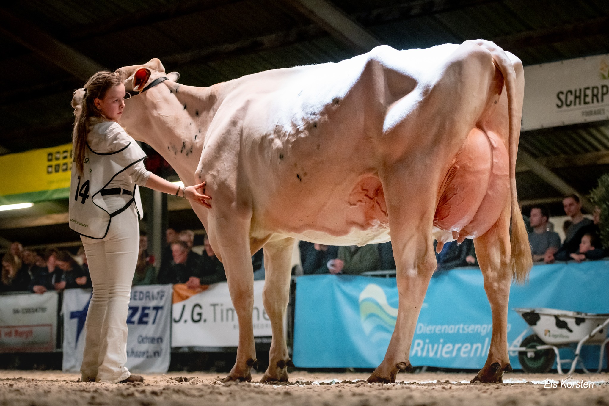 Miss Betuwe 2024: Share Pearl 425 Radio x Share DH DH Pearl EX-91-NL EX ...