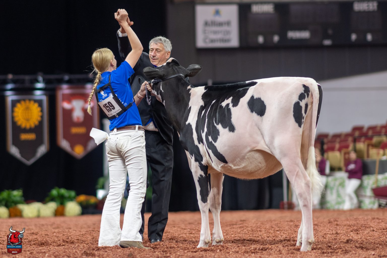 Unlock the full genetic potential of your show heifer by customizing ...