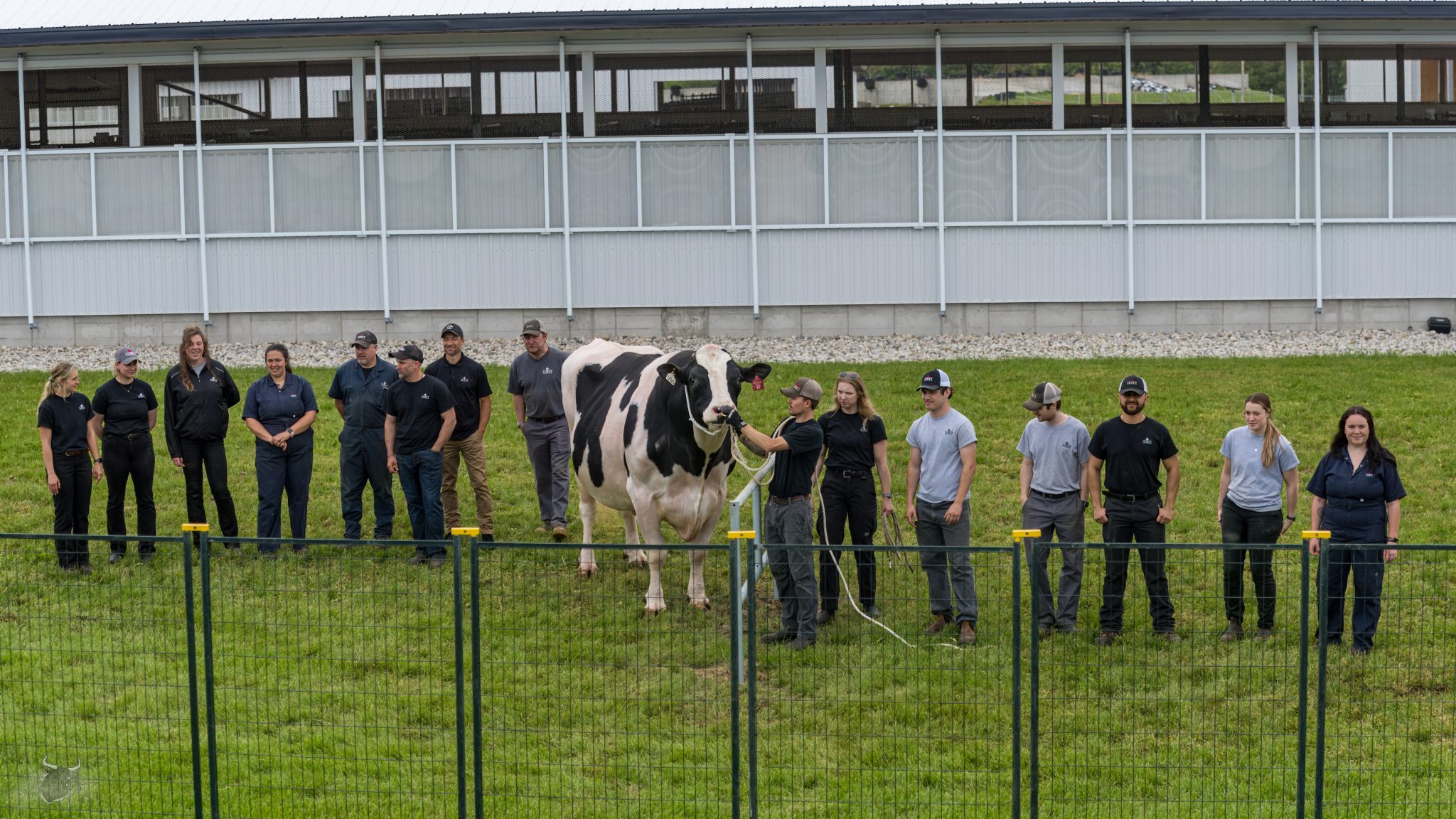 Semex Canada | The Bullvine