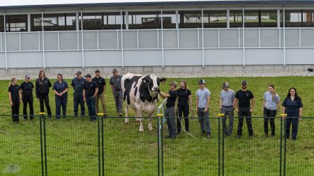 Semex Canada | The Bullvine