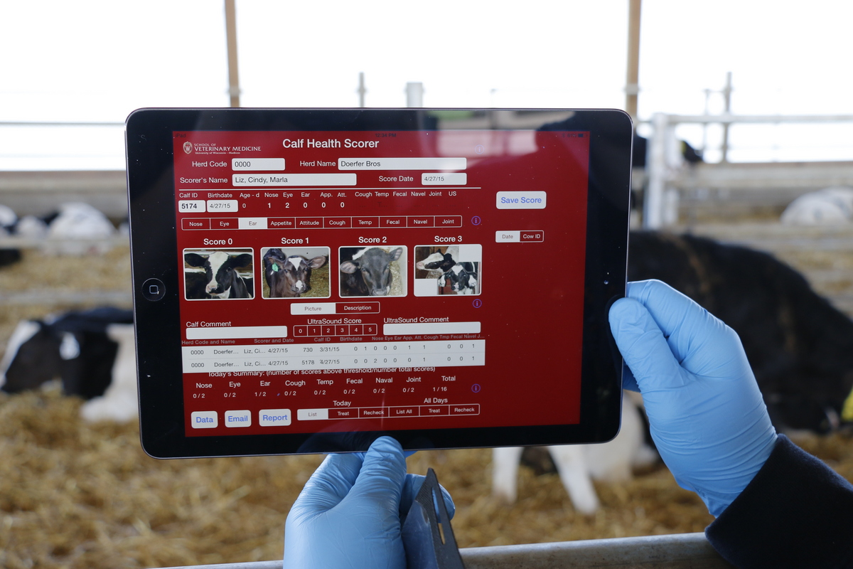 Uncover the essential iPhone apps that every dairy farmer must ...