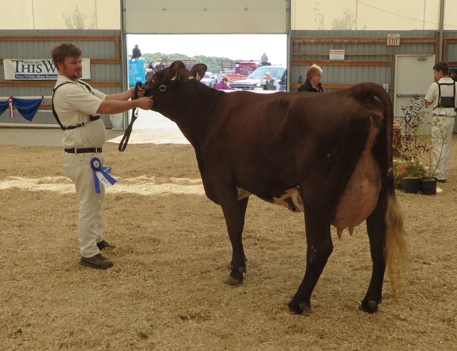 Explore the remarkable achievements of Koopycrest Logic Ali Anne VG-87 ...