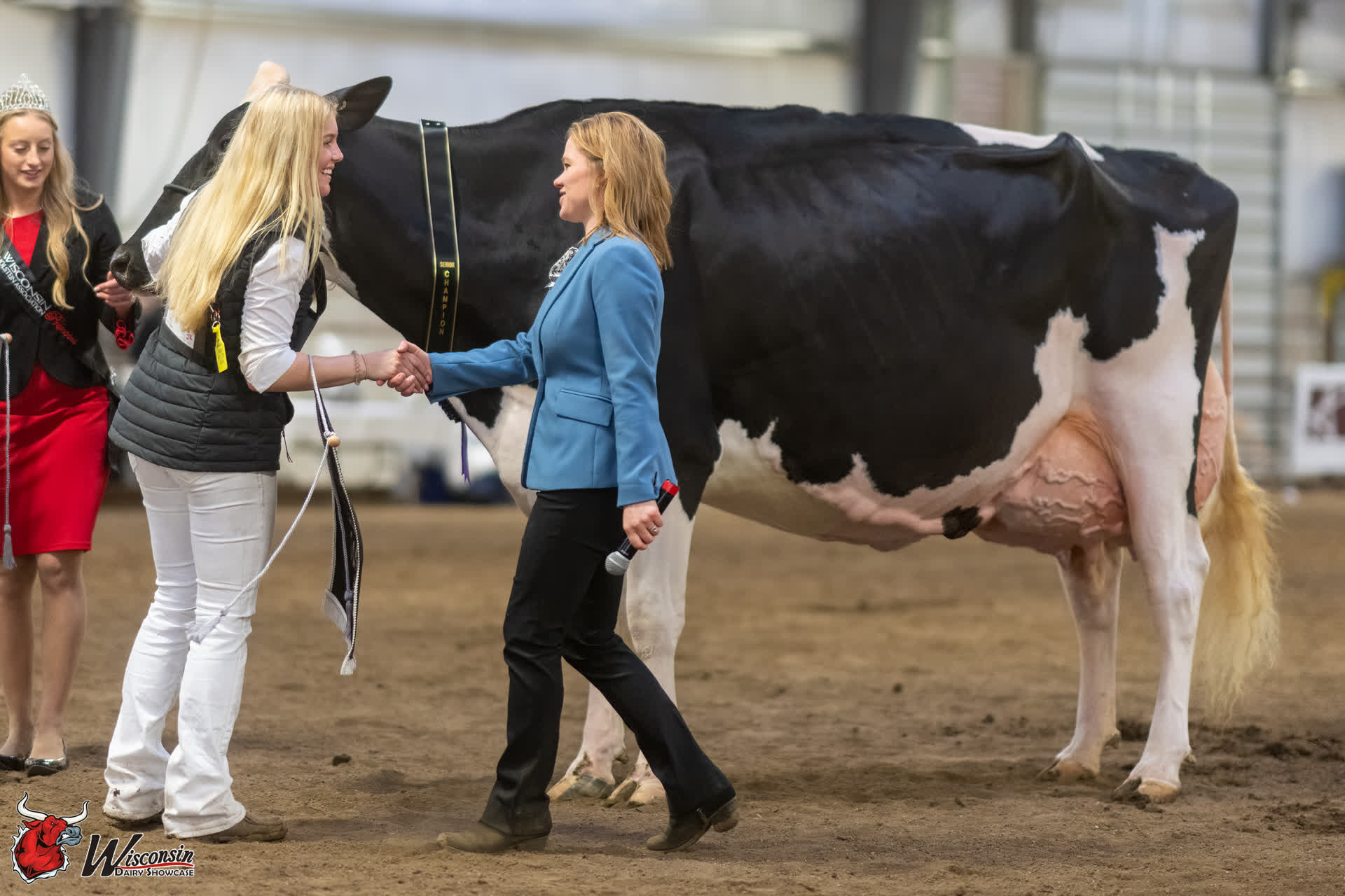 Discover how Budjon-Vail Drm Sunshine-ET, the 2023 Star of the Breed ...