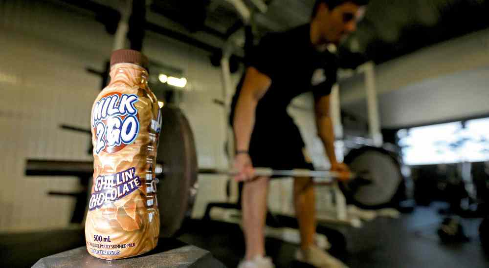 muscle glycogen levels | The Bullvine