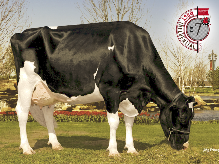 Apple-Red’s Meteoric Rise: From World Dairy Expo Triumph to Million ...