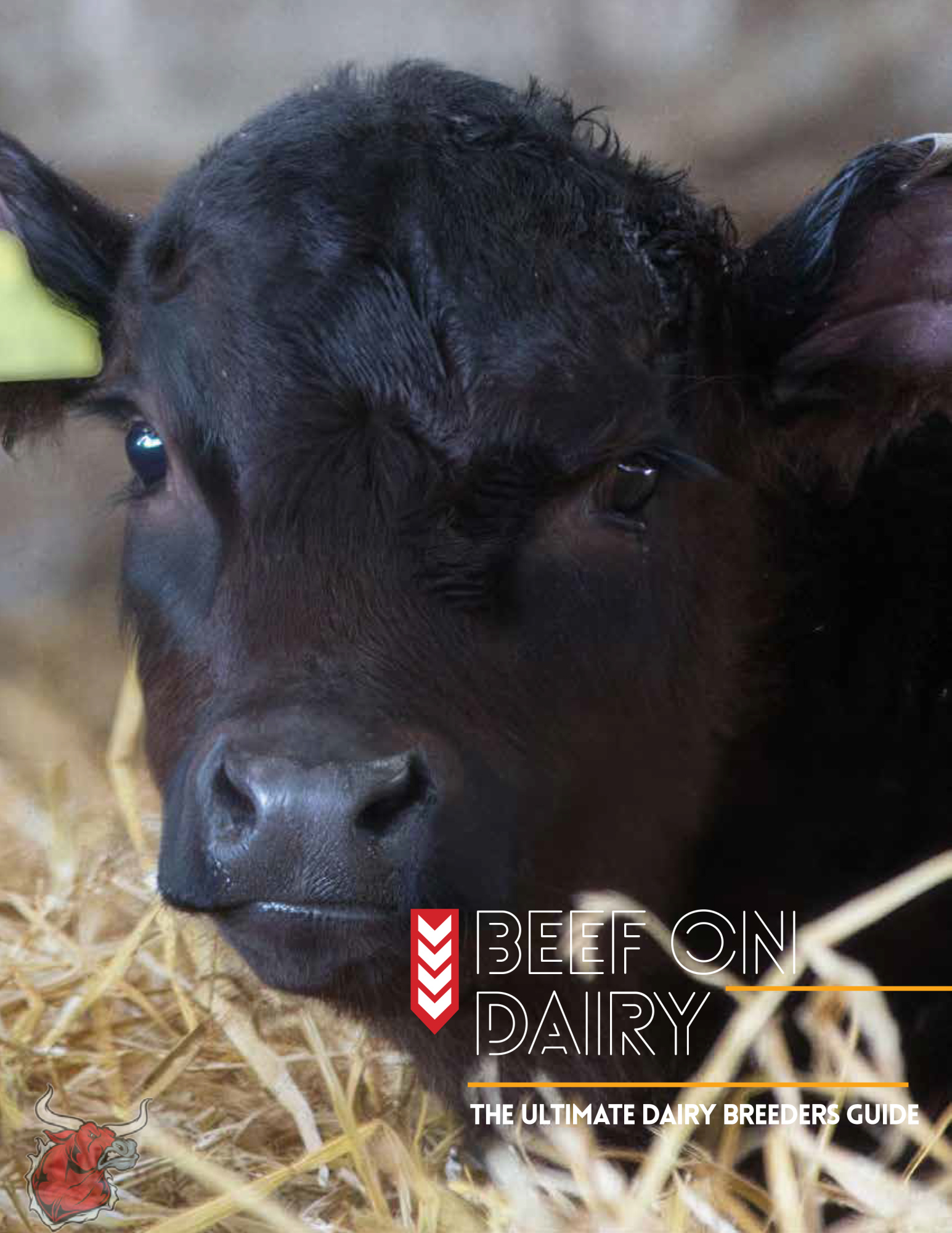 Download “The Ultimate Dairy Breeders Guide to Beef on Dairy ...