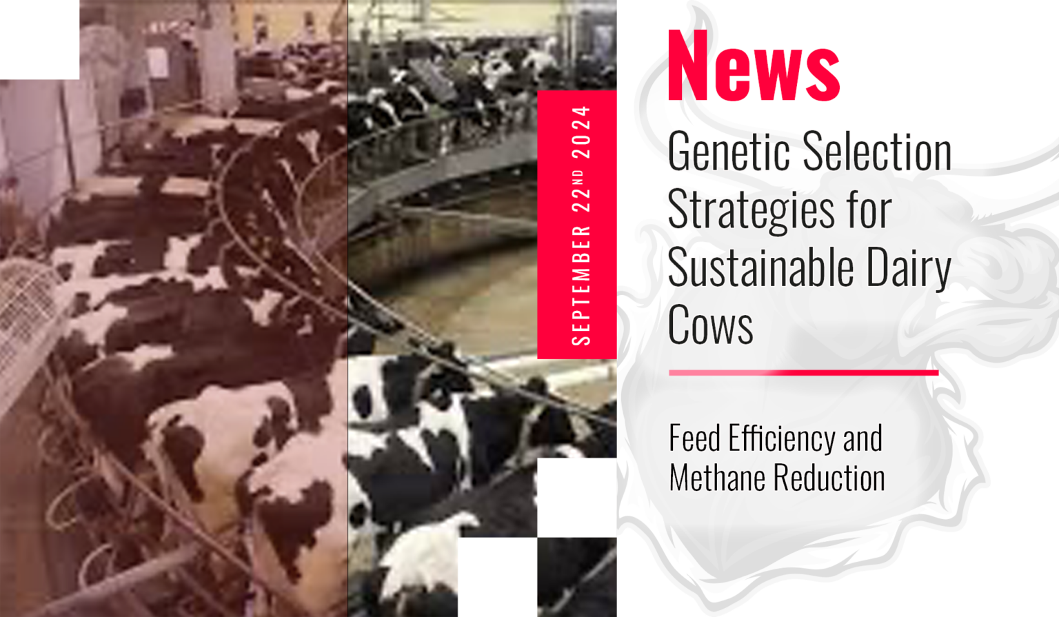 Unveiling the Potential: Breeding Feed-Efficient, Low-Methane Dairy Cows for Sustainability and ...